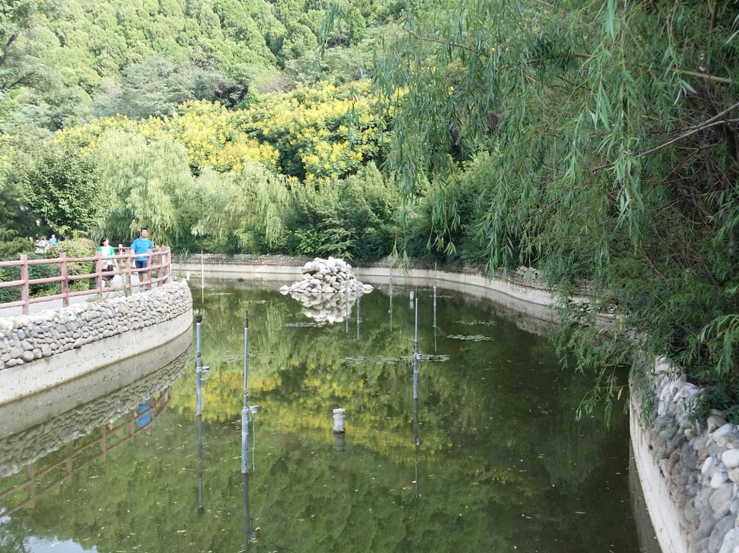 Some Travel Tips About Lishan National Forest Park-China Travel Routes